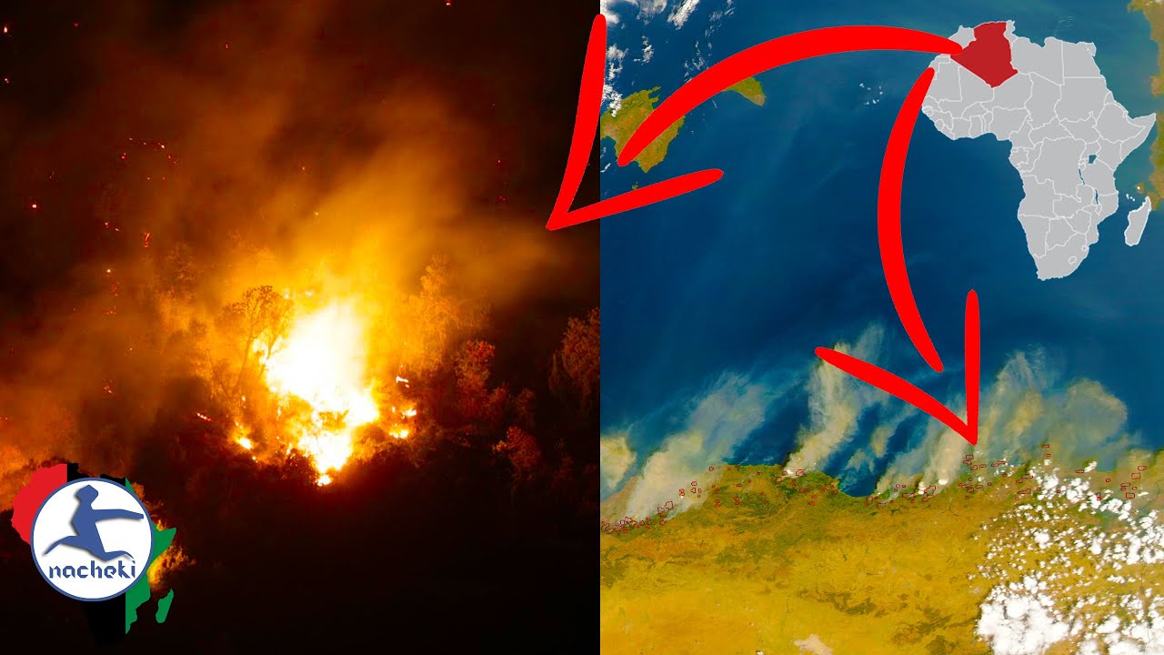 Africa is Burning as at Least 70 Africans Die in Ferocious Wildfires in ...