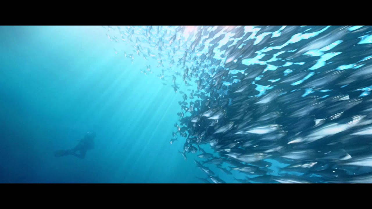 It's More Fun in the Philippines | Cebu TV Commercial | Philippine ...