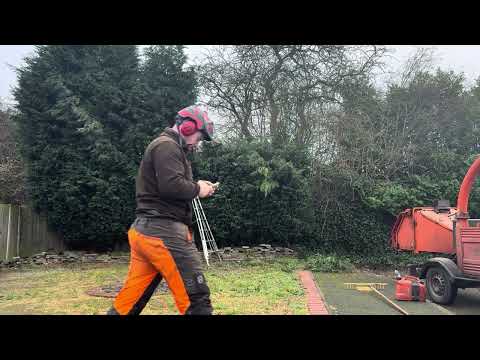 Topping a conifer hedge. - YouTube