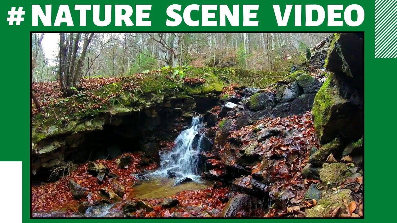 Nature Sounds Relaxing Music Sleep earth 4K - 46 👉 Nature Scene Video ...