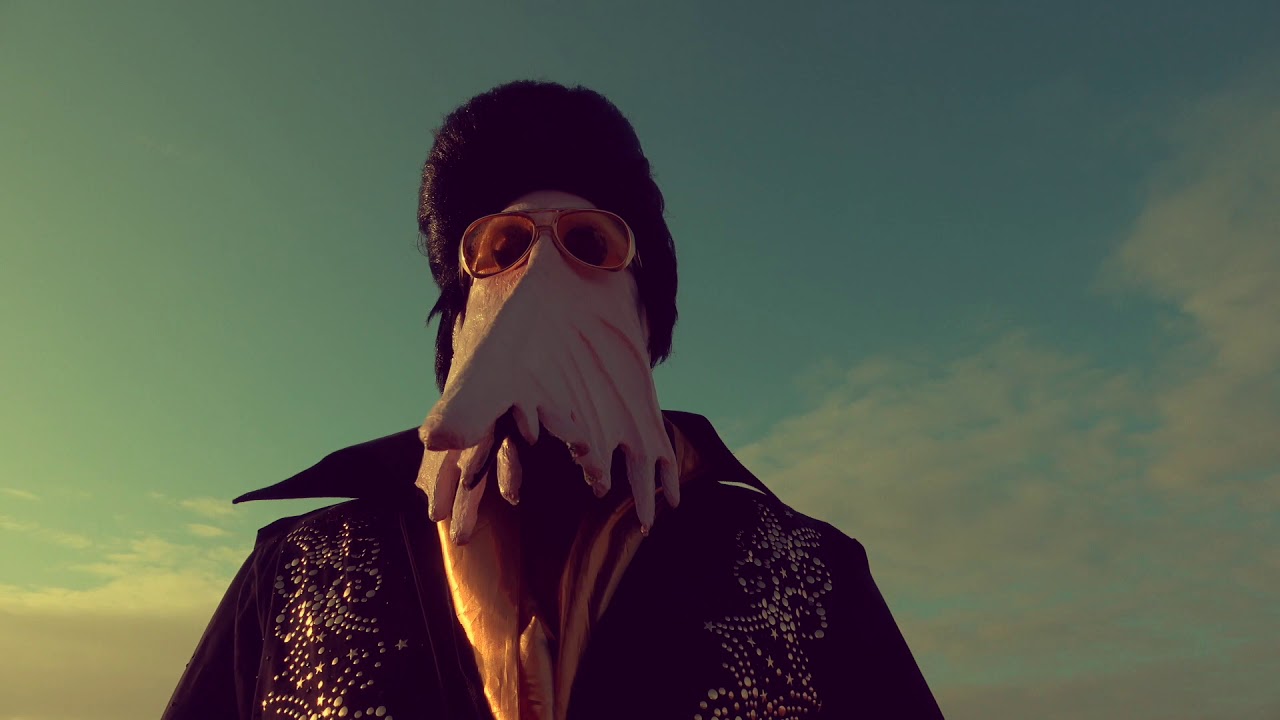 King Prawn - Seven Seas [Official Video] - YouTube