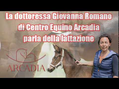 VET_CONSIGLI: Giovanna Romano sui problemi di lattazione, dal colostro al latte in polvere