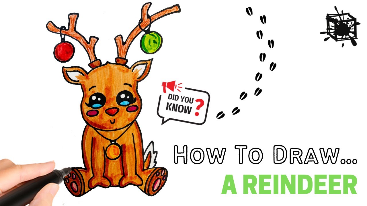 HOW TO DRAW A REINDEER | CUTE CARTOON // step by step for kids - YouTube