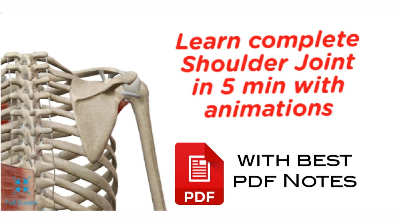 SHOULDER JOINT IN 5 MINS|| with 3D animations || - YouTube