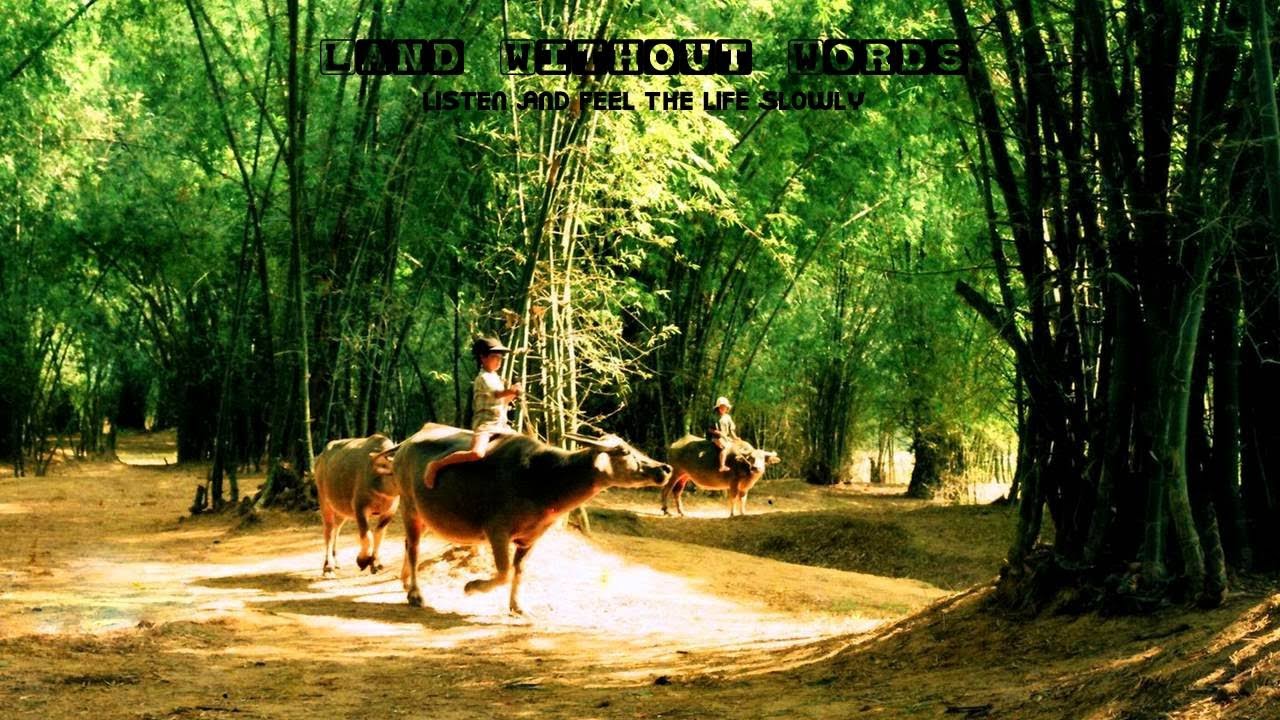 The best of Instrumental Country Music part 1 | Beautiful Country Music ...