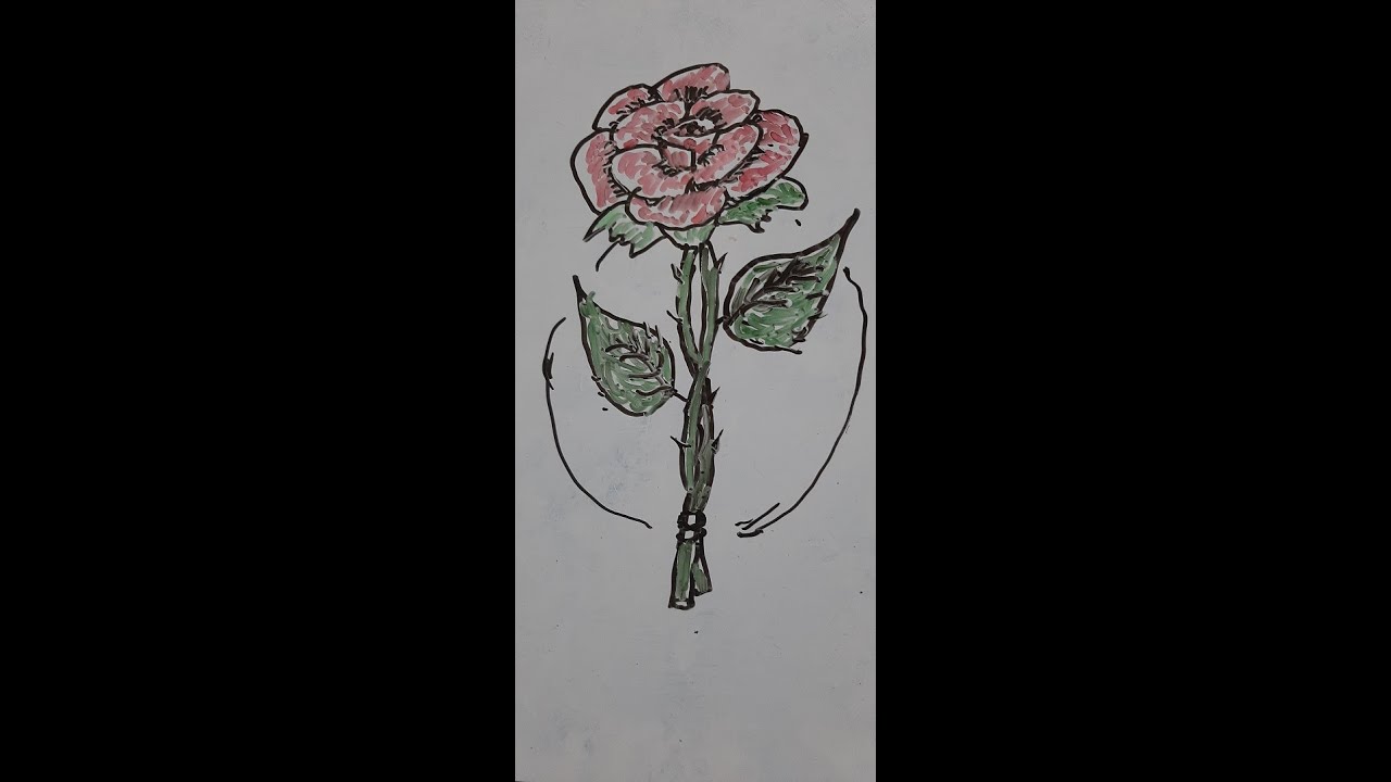 Drawing of Rose using Whiteboard marker - YouTube