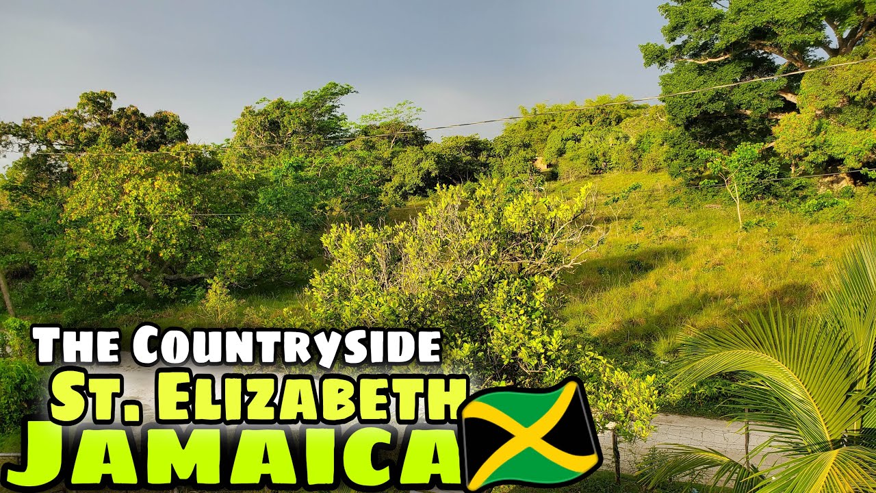 Beautiful views of the Jamaican countryside |St. Elizabeth Jamaica 🇯🇲 ...