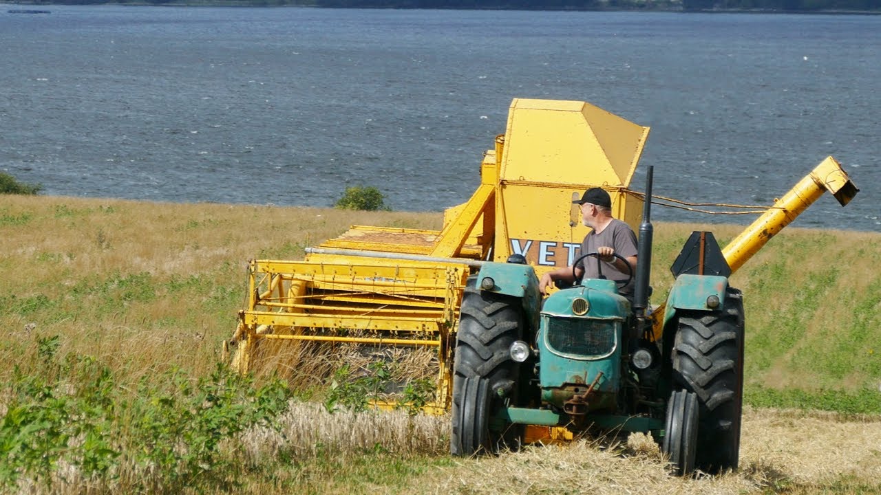 DEUTZ D55 Harvesting With VETY Combine - YouTube