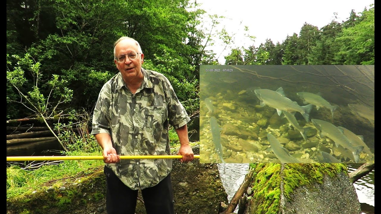 Sitka Alaska. Exploring and Spotting Fish in Indian River using a AKASO ...