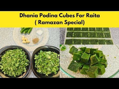 How to Store dhania/Podina For Raita | Chatni Cubes For Dahi | Ramazan ...