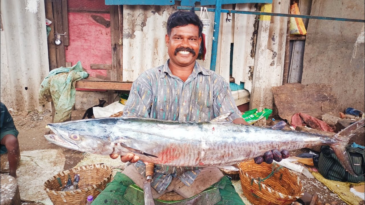 FRESH VANJARAM FISH CUTTING BY KASIMEDU SIRUTHAI DURAI|KASIMEDU FISH ...