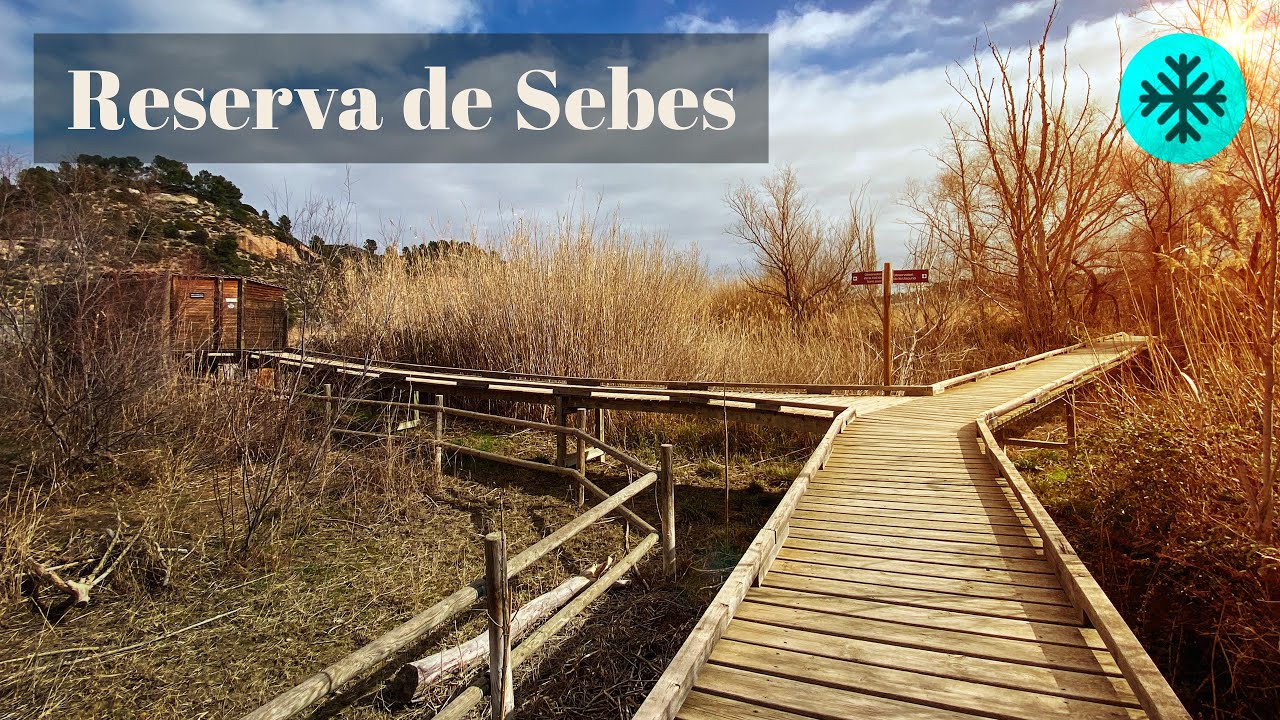 FLIX y su RESERVA NATURAL de SEBES, un entorno protegido en la RIBERA d ...