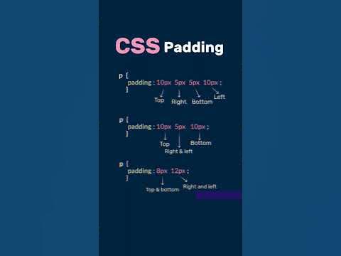 CSS padding #html #coding #css #javascript #shortsvideo #programming #website #webdesign #shorts ...