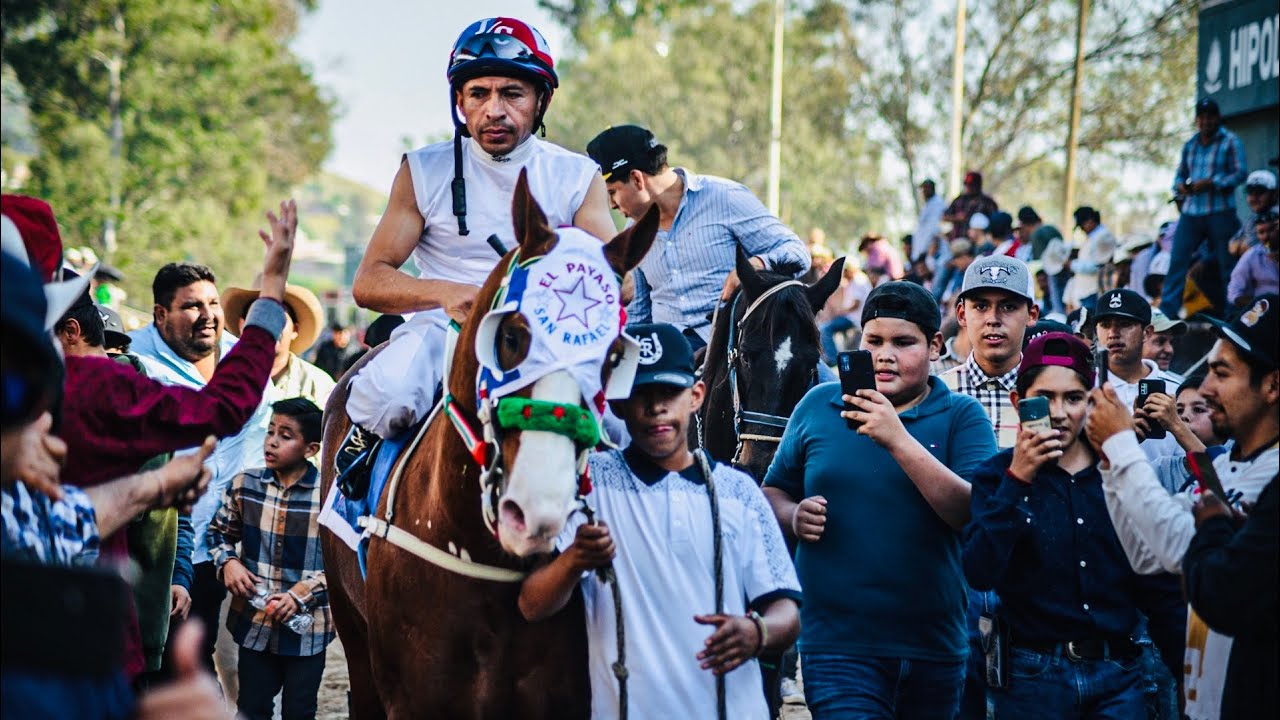El Gran Payaso Está De Vuelta (El Caballo Más Rápido Del Mundo ...