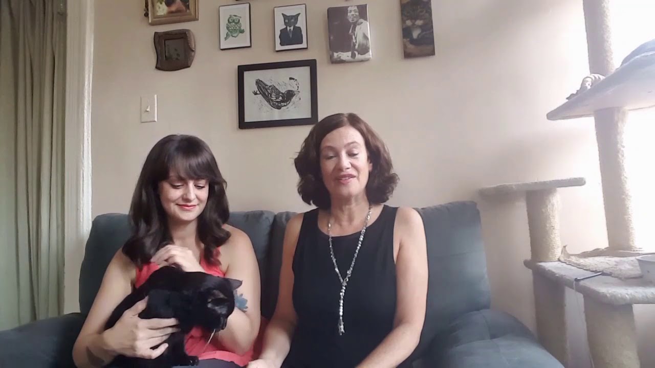 Cat communication session with Sue Pike, The Animal Talker® - YouTube