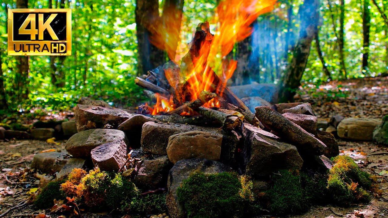 Burning Campfire in the Lap of Green Nature 🔥 | 1 Hour of Calming 4K ...