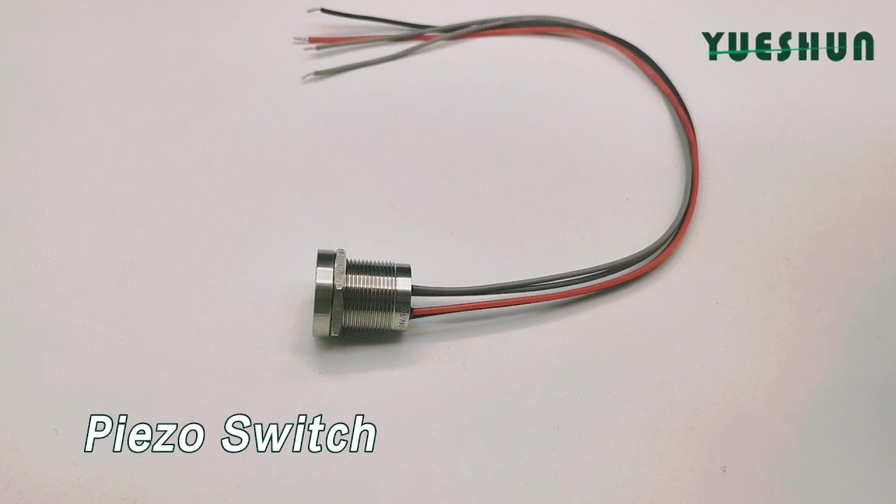 Capacitive Touch Piezo Switch 22mm Silver Stainless Steel Momentary ...