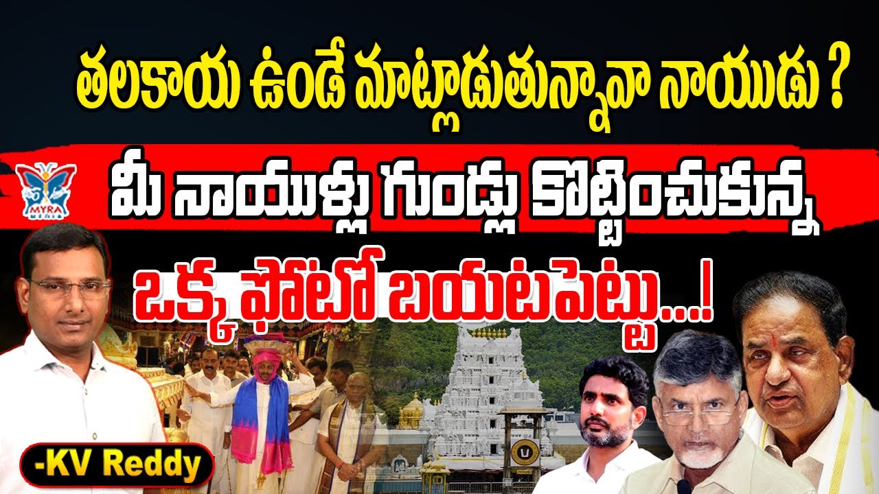 తలకాయ ఉండే మాట్లాడుతున్నావా...? K.V.Reddy Analysis About TTD Chairman ...
