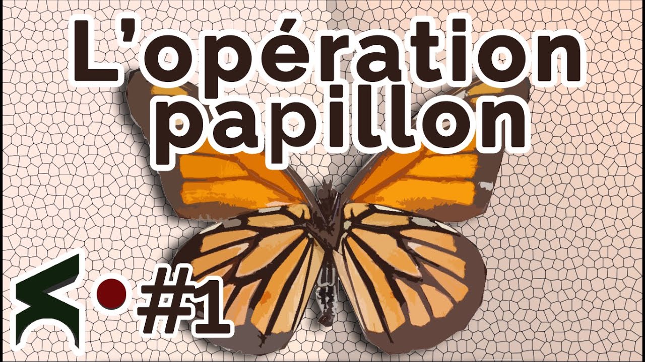 L'opération papillon | Vallamir Story #1 - YouTube