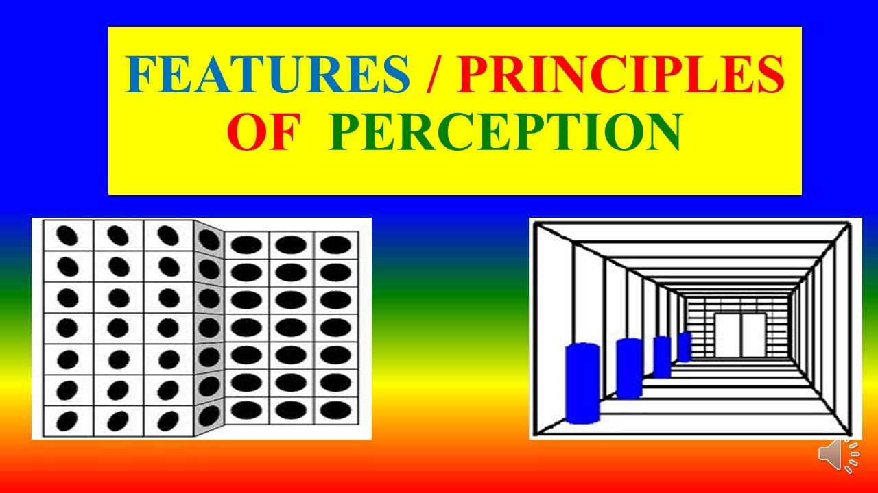 FEATURES AND PRINCIPLES OF PERCEPTION - Applied psychology for Nursing ...