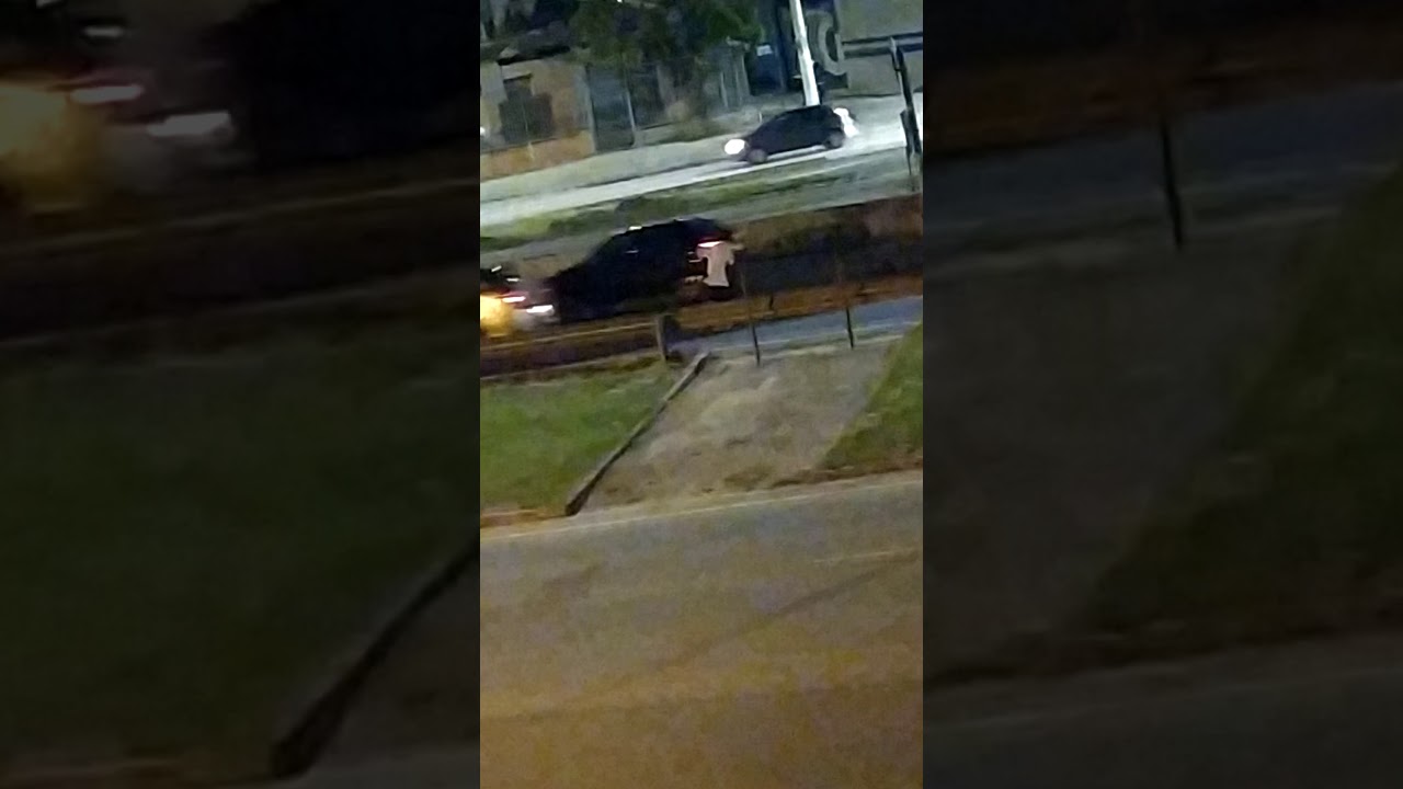 Bicho piruleta 2020, - YouTube