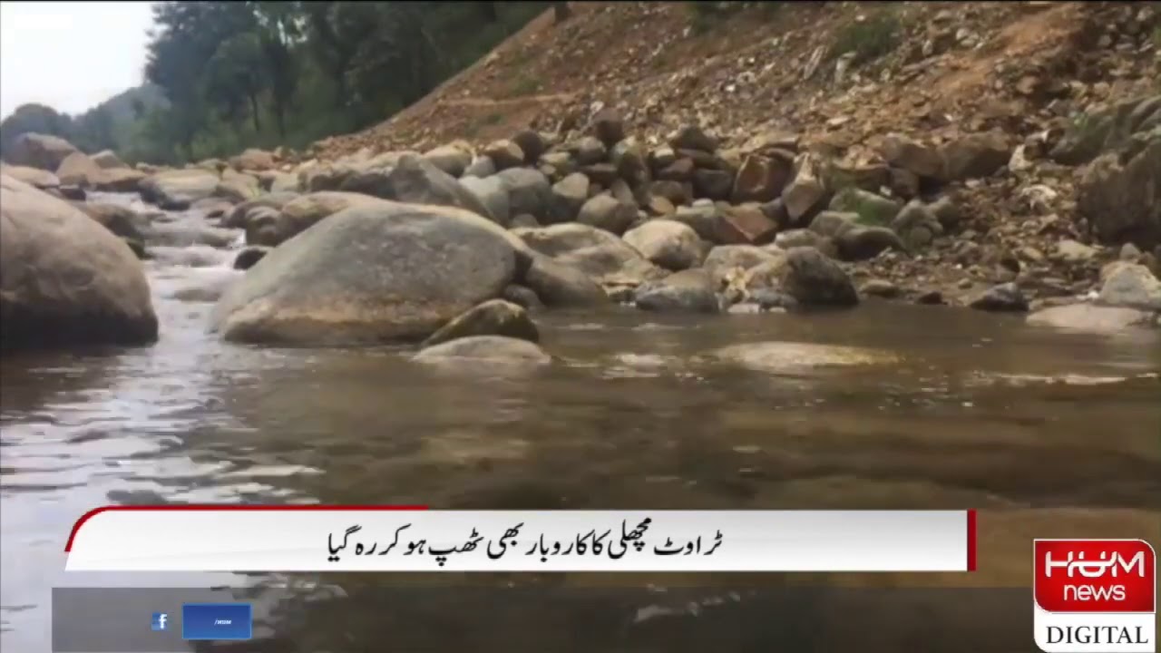Nearly 250 trout fish farms close in Malakand, Swat - YouTube