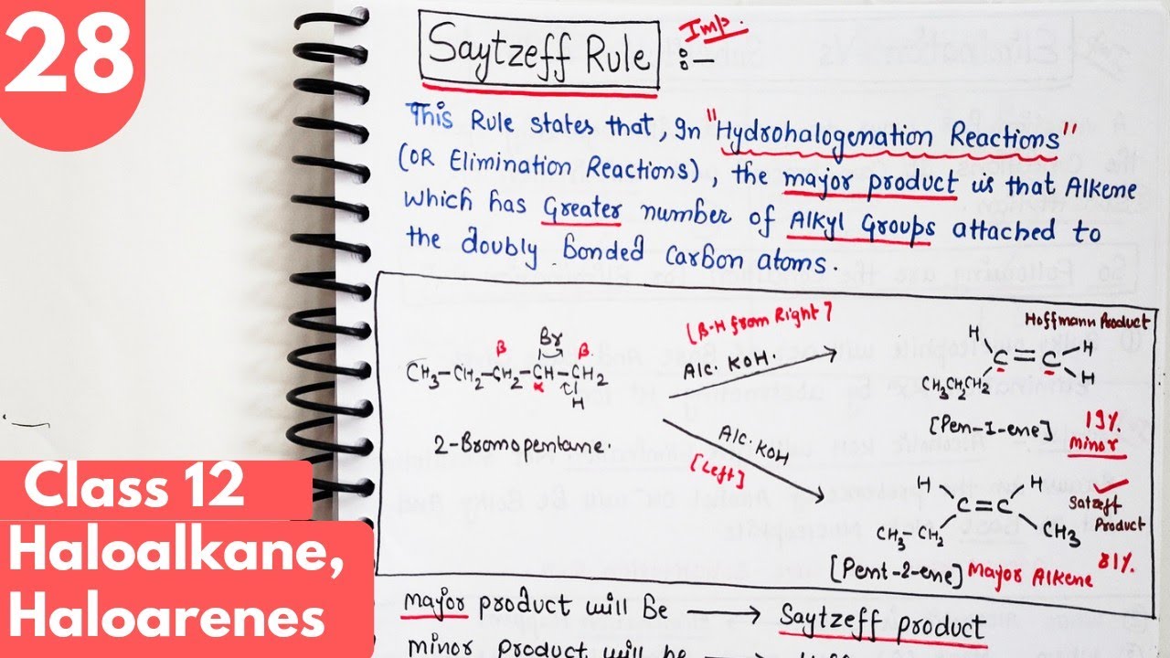 28) Elimination reactions of Haloalkane| Saytzeff rule| organic ...