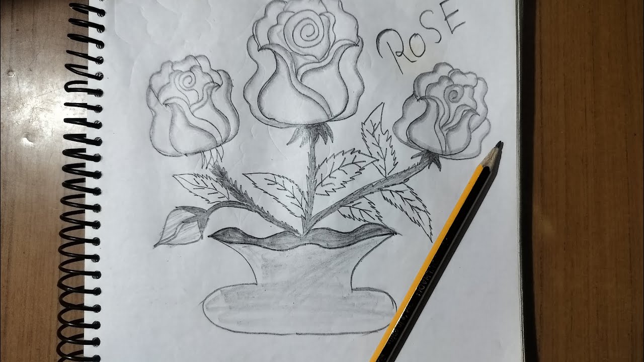 गुलाब का फूल गमला में बनाना सीखे| how to draw a Rose| rose beautiful ...
