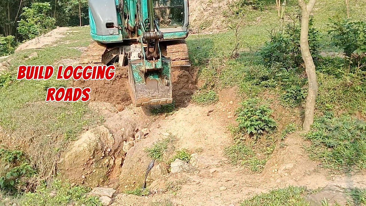 Excavators repair roads, build new roads in preparation for logging ...