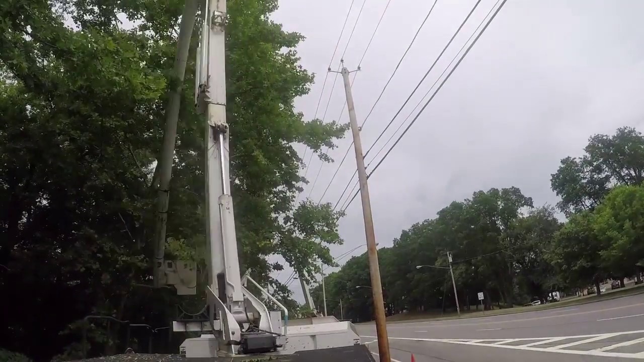 Utility Tree Trim Timelapse - YouTube