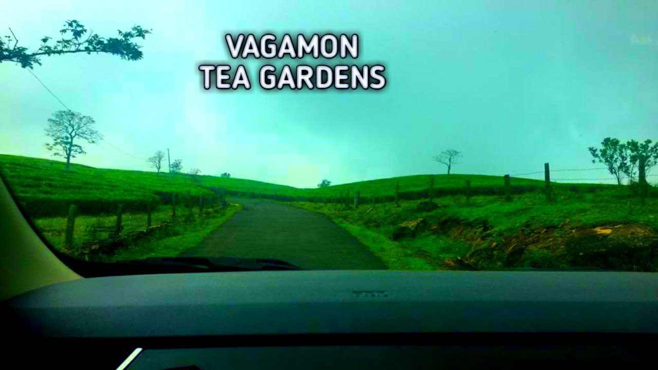 Vagamon Tea Garden | Vagamon | Idduki | Tea Estate | kerala | vinu ...