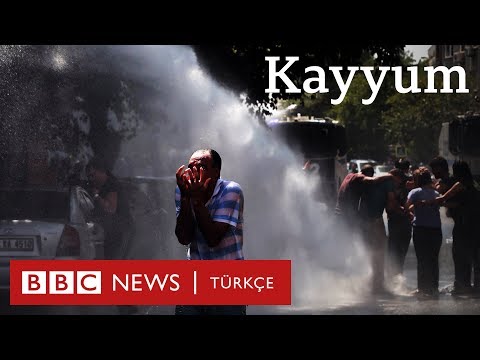 Kayyum: Diyarbakır, Mardin, Van