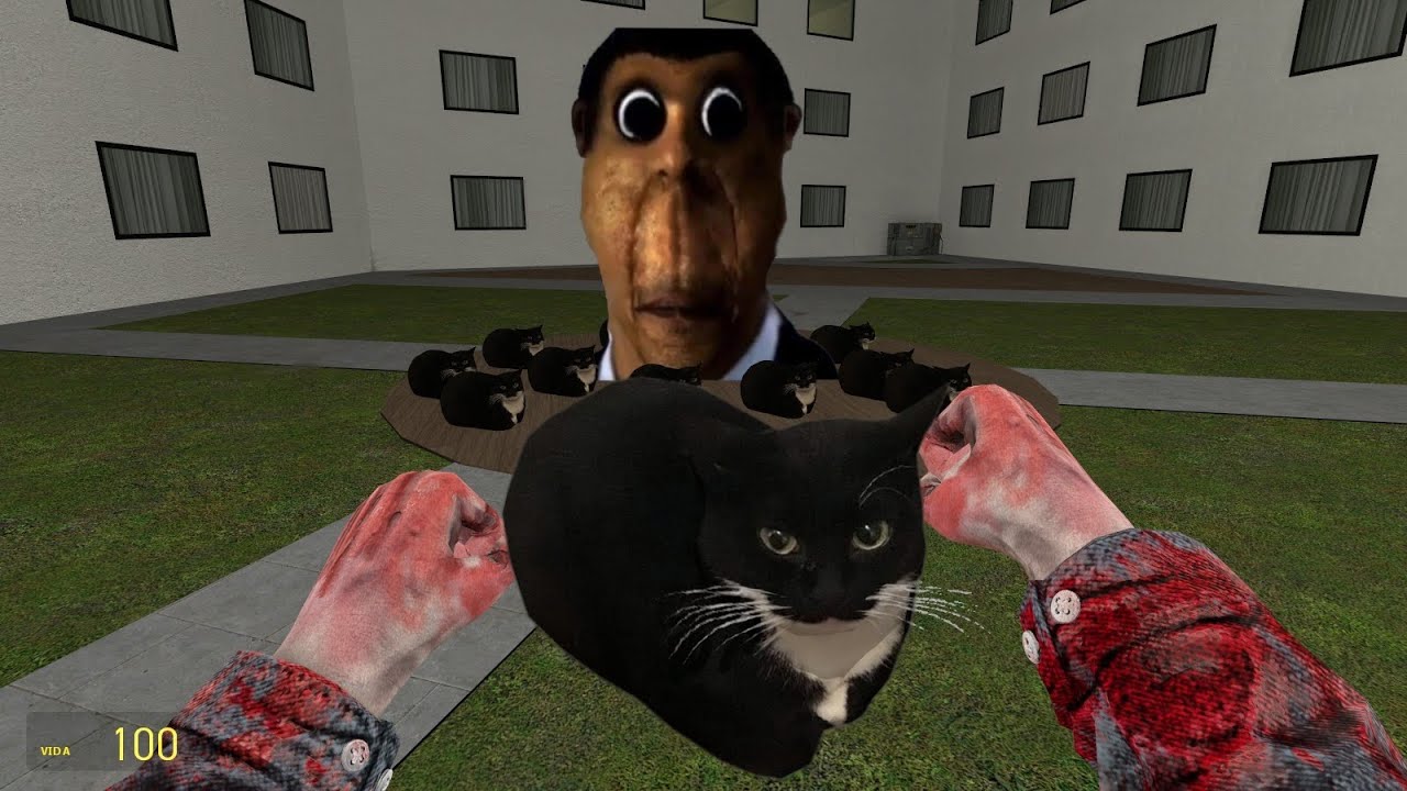 obunga and angry maxwell the cat chased me in the hotel - YouTube