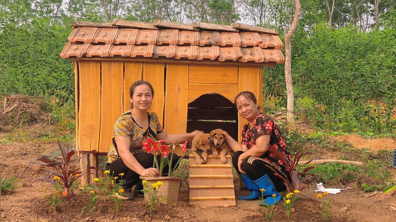 Building a HEALTHY DOG HOUSE for Summer in VIETNAM |Family Farm| - YouTube