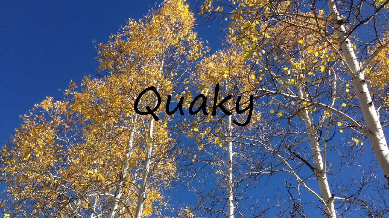 How to Pronounce Quaky? - YouTube