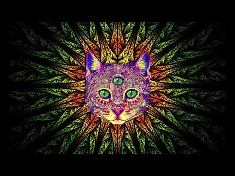 Rave Set { Only for Those Who Like to Fry II } - Best Rave Party Songs II