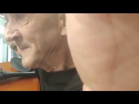 Stevo violina Piperac Prijatelji u tudjini - YouTube