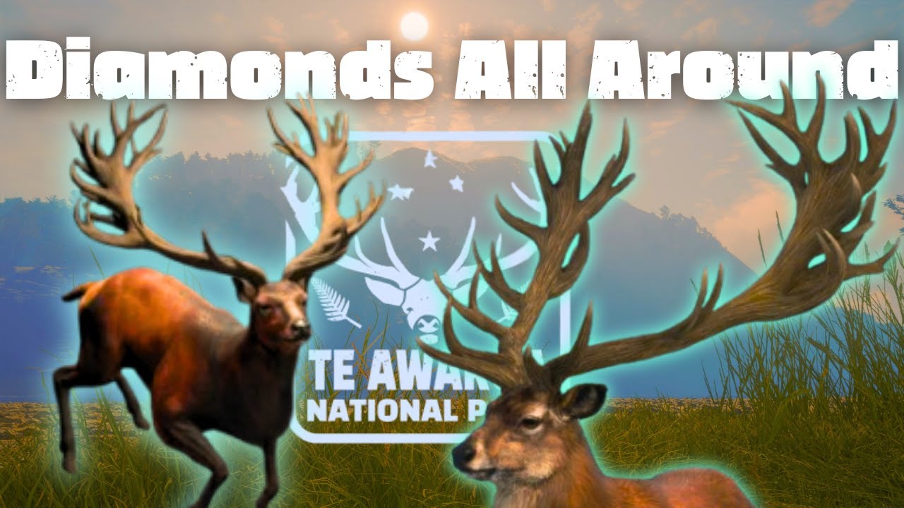 Shooting the massive stacked Diamonds in my Red Deer Grind - YouTube