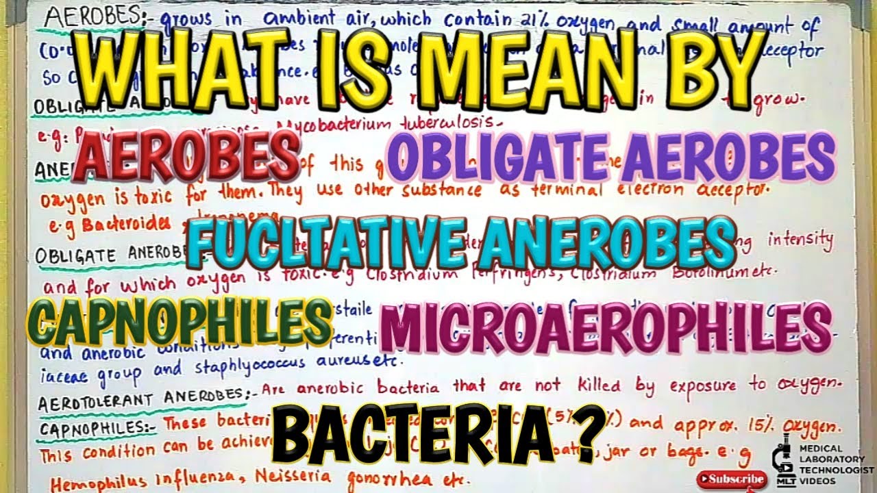 What is mean by aerobic,obligate anerobic,anerobic,fucltative anerobic ...