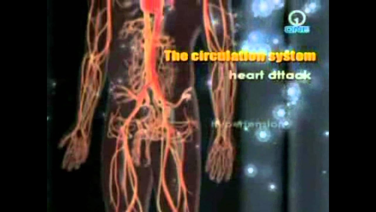 Aculife Anion Therapy Device - YouTube