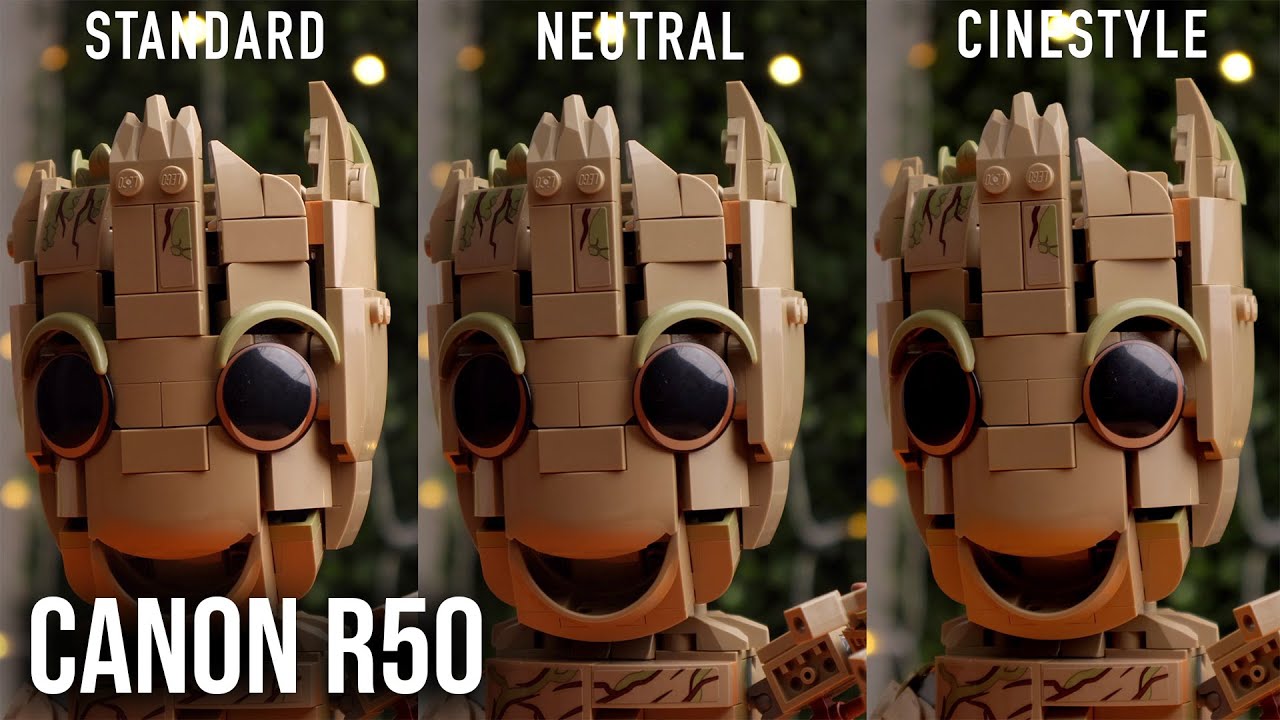 Canon R50 - Standard vs Neutral vs Cinestyle Picture Style Comparison ...