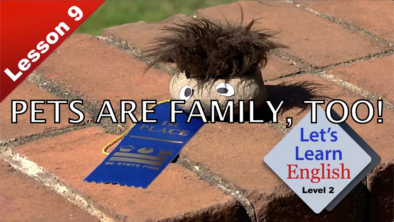 Let's learn English | Level 2 | Lesson 9: Pets Are Family, Too! - YouTube