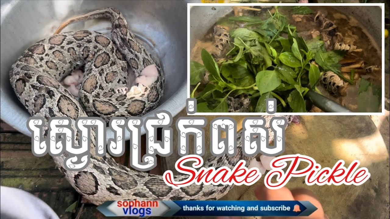 ស្ងោរជ្រក់ពស់ Snake Pickle - YouTube