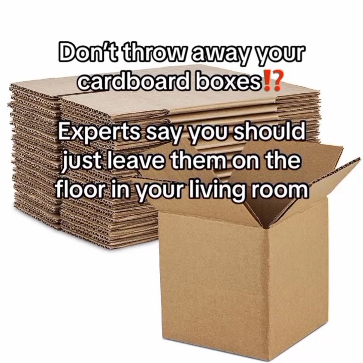 Leave the box on the floor and see what happens 😜 #shorts - YouTube