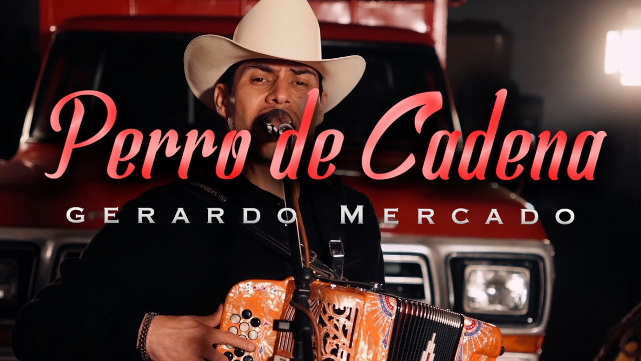 Gerardo Mercado - Perro De Cadena (En Vivo 2025) - YouTube