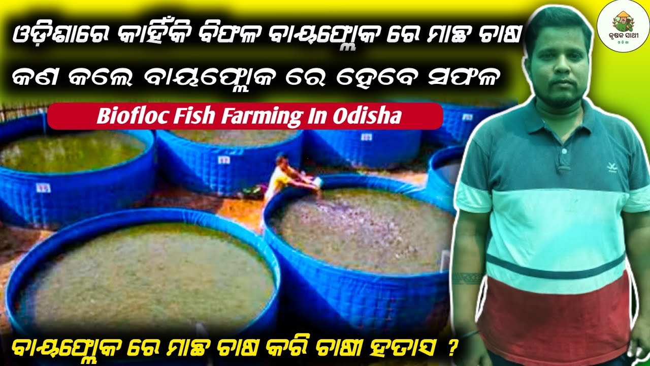 Why Biofloc Failed In Odisha||krushak sathi odisha#biofloc - YouTube