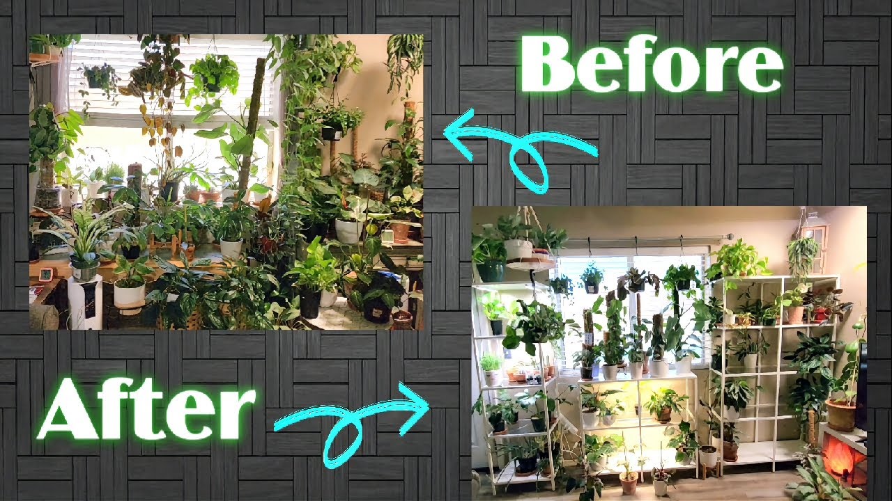 Plant Room Makeover Part 1 - YouTube