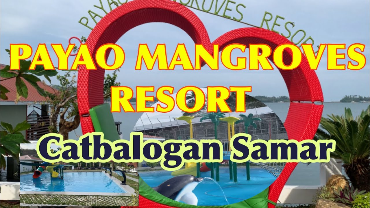 Catbalogan anong nangyari? Payao Mangrove and Resort#travel #samar#fyp ...