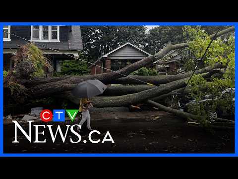 Toronto’s severe rainstorms leave behind damage and broken trees