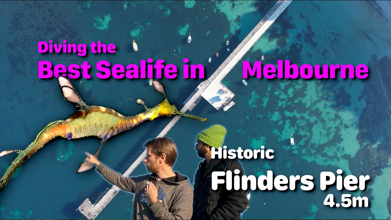 [SiteReview] Flinders Pier - Stunning historic #DIVE site in Melbourne ...